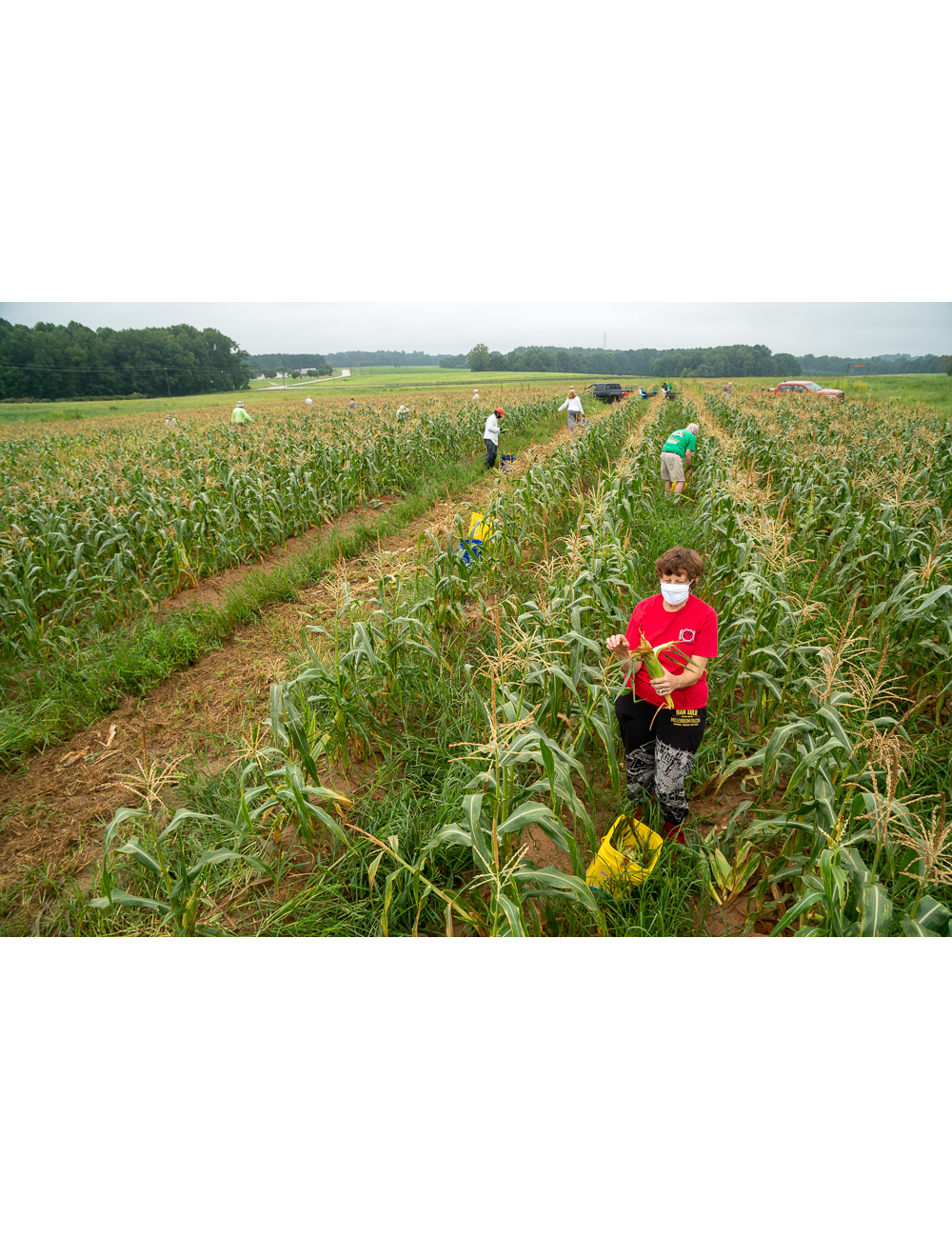 Lifeline: Hunger Relief During the Pandemic by Tom Simon - Carolina ...